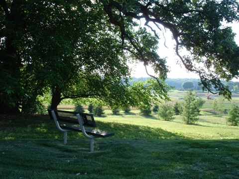 Savannah Parks - Livable Communities | Don Tierney